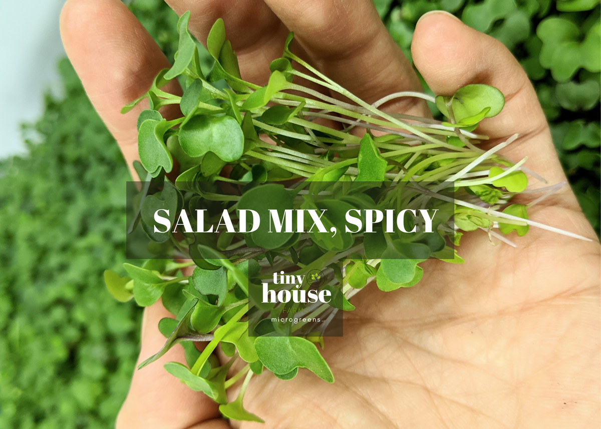Spicy Salad Mix Microgreen Blend – Tiny House Farms Microgreens