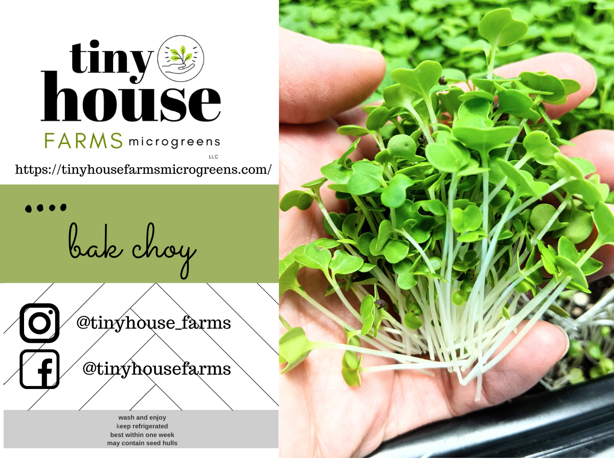 Pak (Bok) Choy – Tiny House Farms Microgreens
